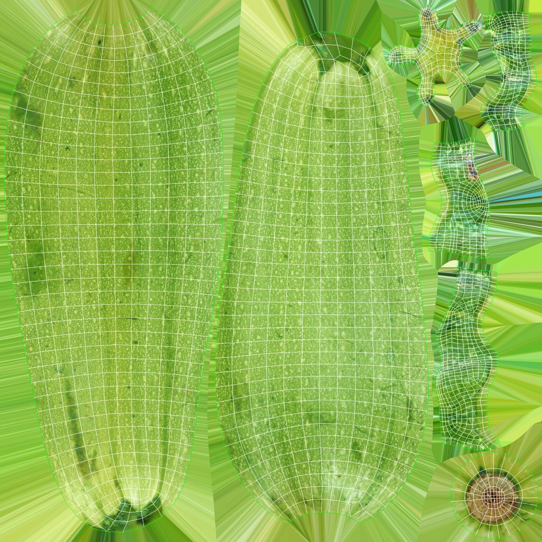 Zucchini cousa squash 04 model - TurboSquid 1475339