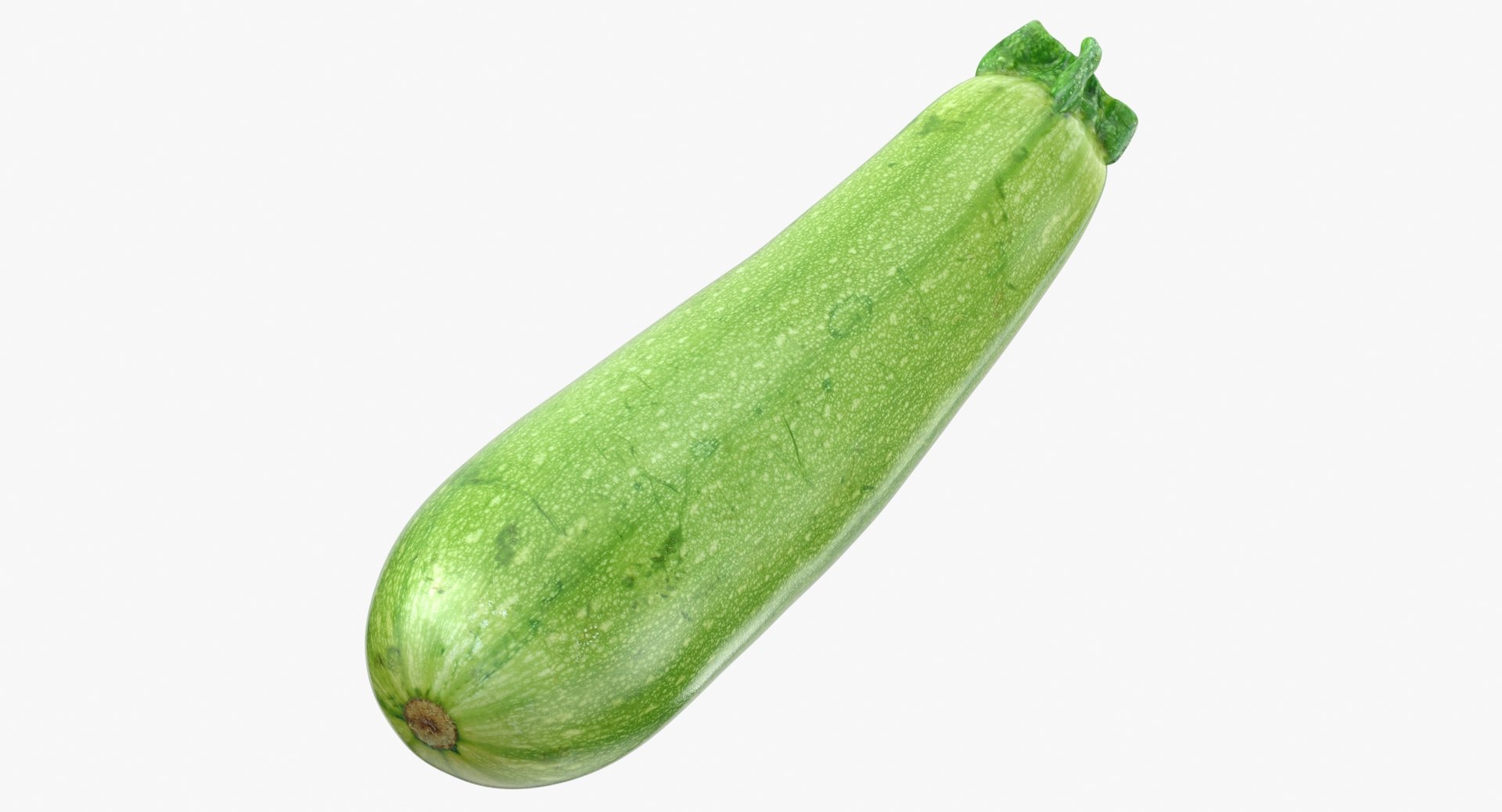Zucchini cousa squash 04 model - TurboSquid 1475339