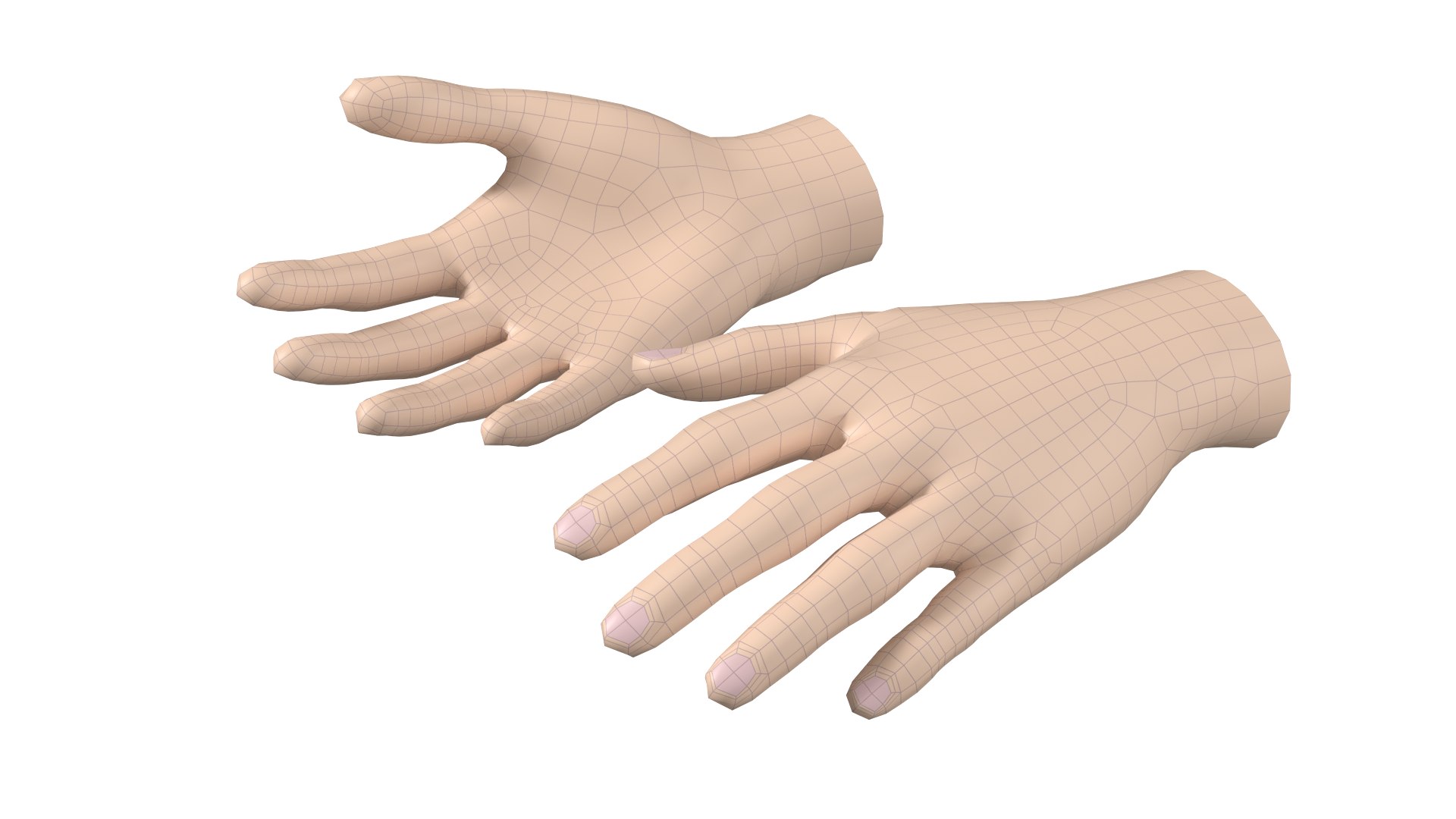 3D model Female Hand Base Mesh 03 - TurboSquid 2182249