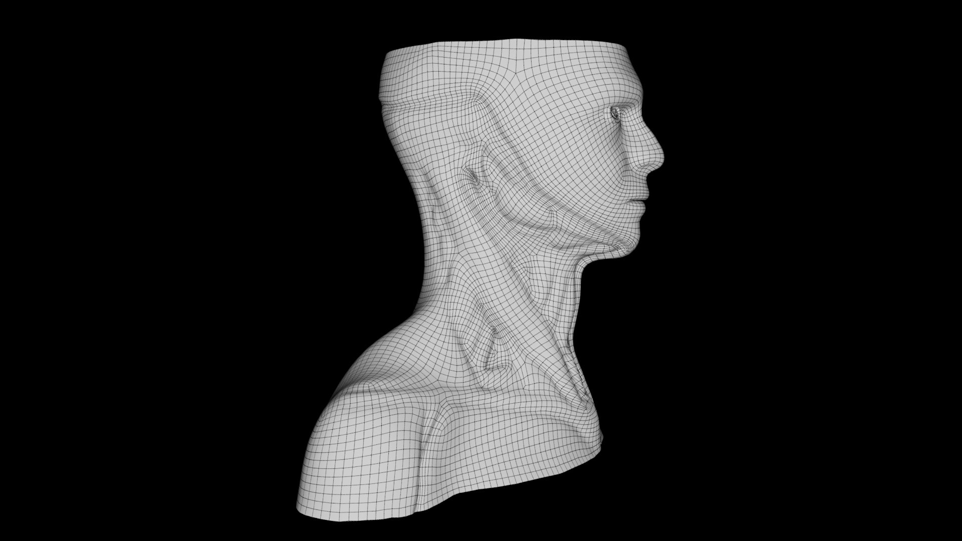 3D Human Anatomy-Neck Lateral Superficial View - TurboSquid 2218734