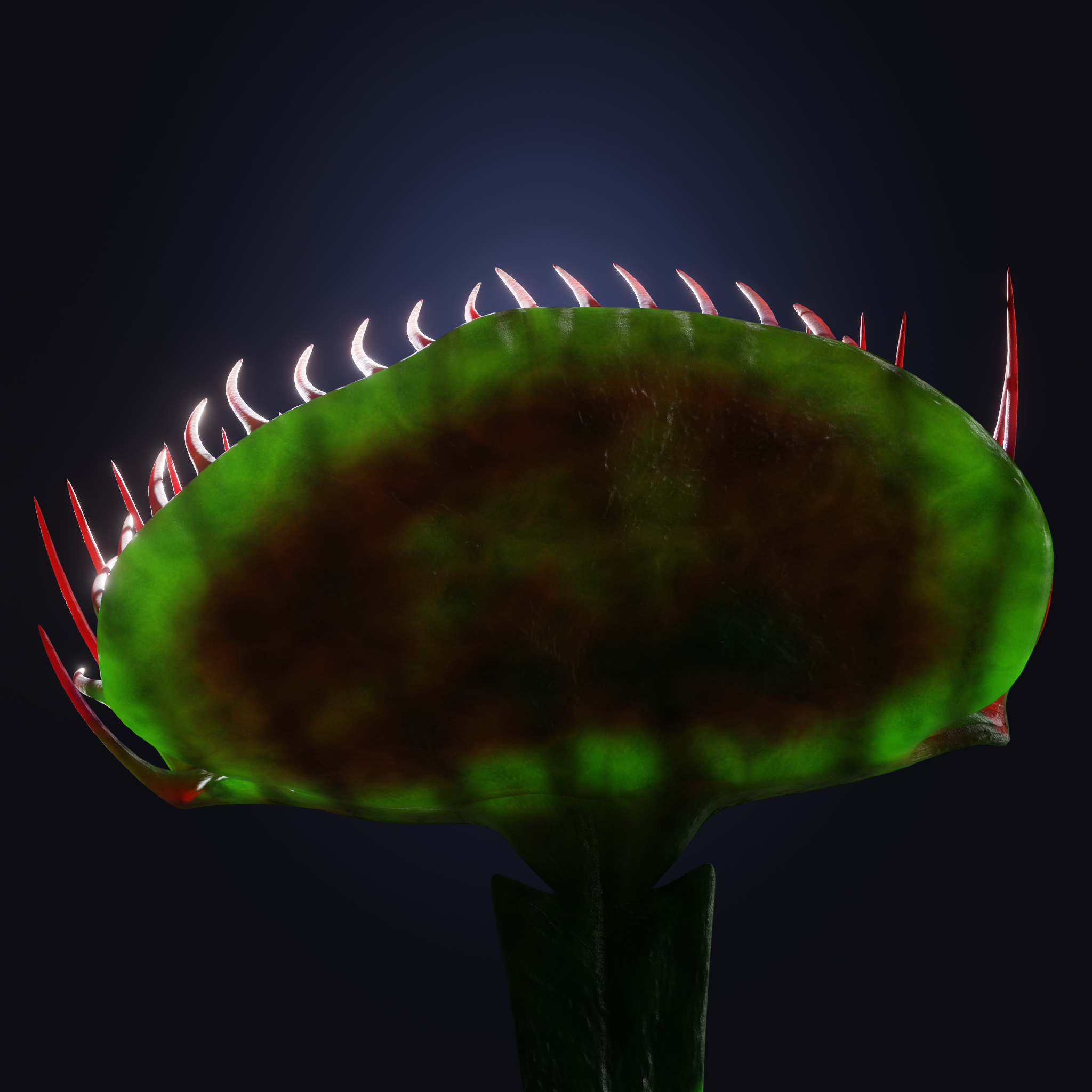 3D model Venus Fly-Trap Rigged - TurboSquid 1915883