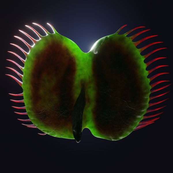 3D model Venus Fly-Trap Rigged - TurboSquid 1915883