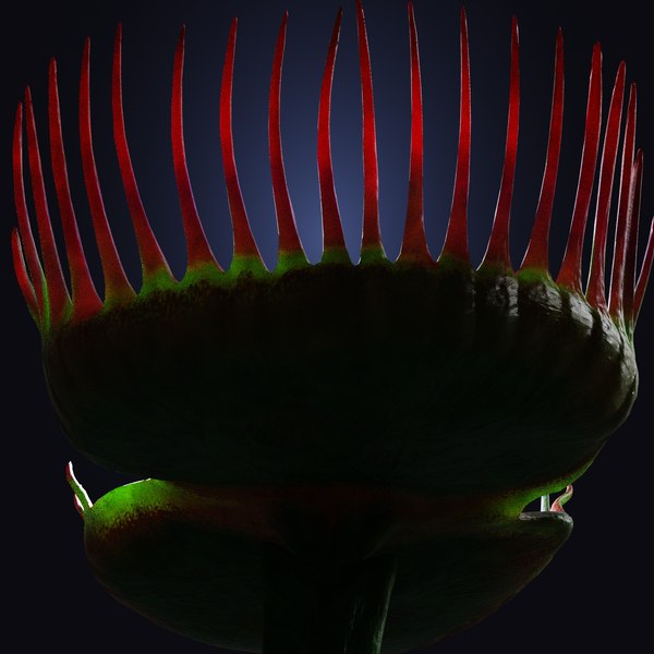 3D model Venus Fly-Trap Rigged - TurboSquid 1915883