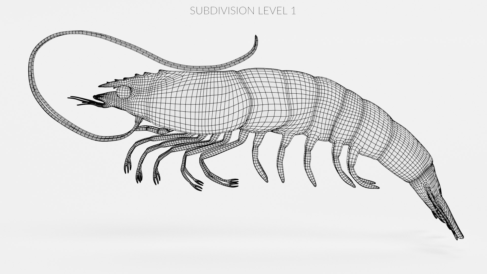 3D Prawn - TurboSquid 1728647