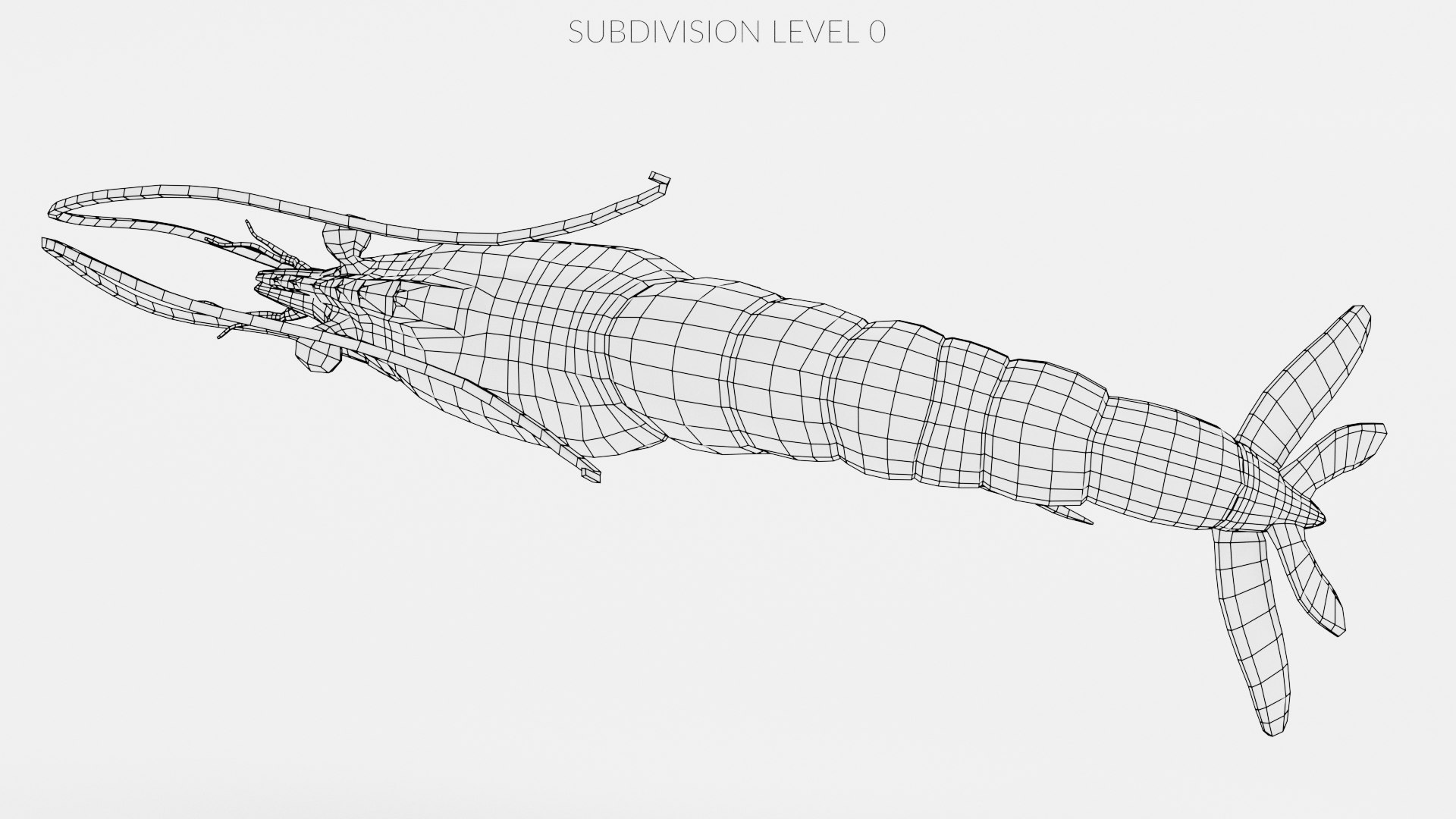 3D Prawn - TurboSquid 1728647