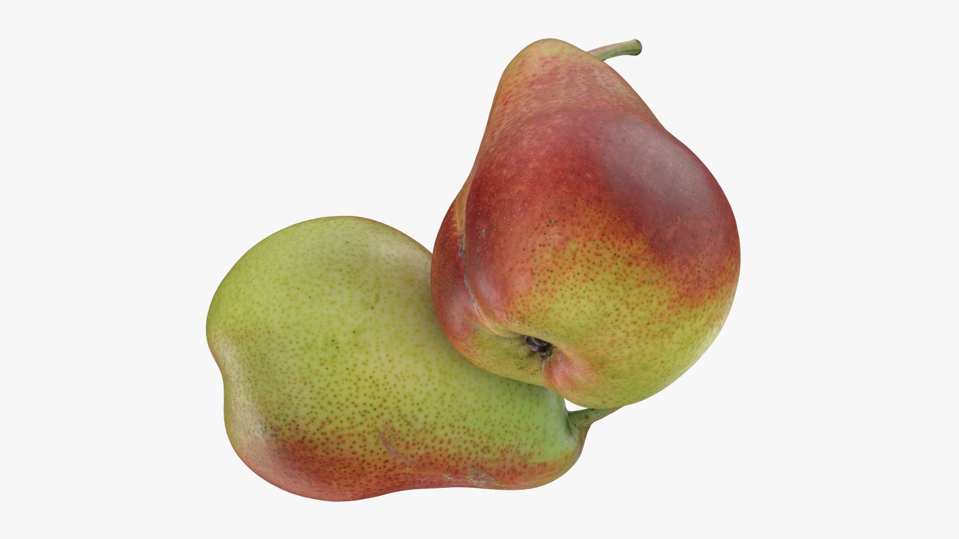 Forelle Pear Whole Half 3D Model - TurboSquid 2178679
