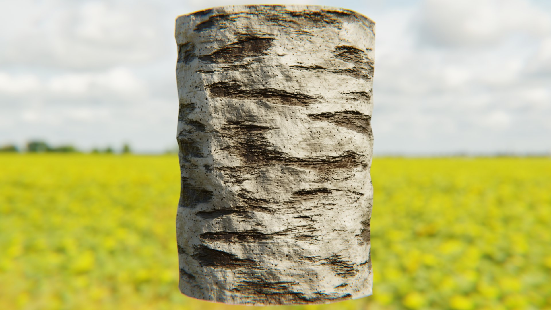 Procedural White Birch Tree Bark Material 3D Model - TurboSquid 2318650