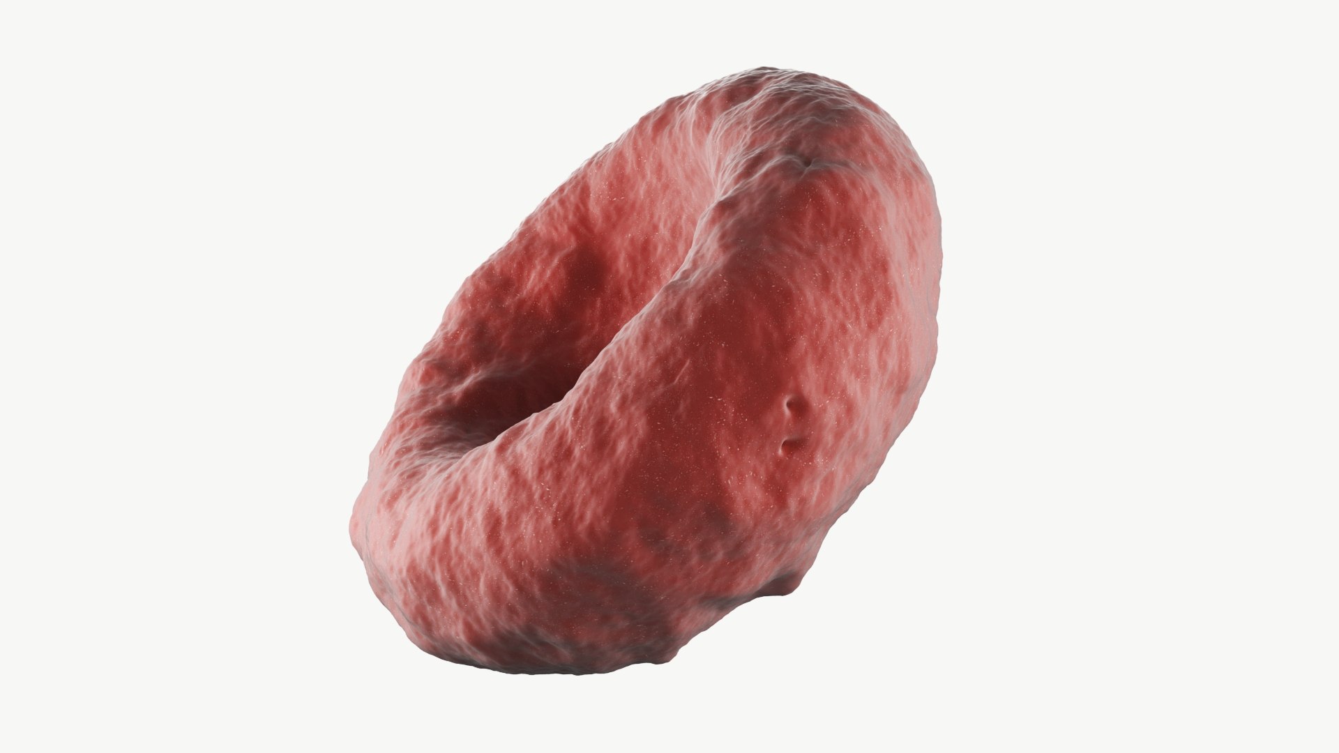Red Blood Cell 3D Model - TurboSquid 1963237