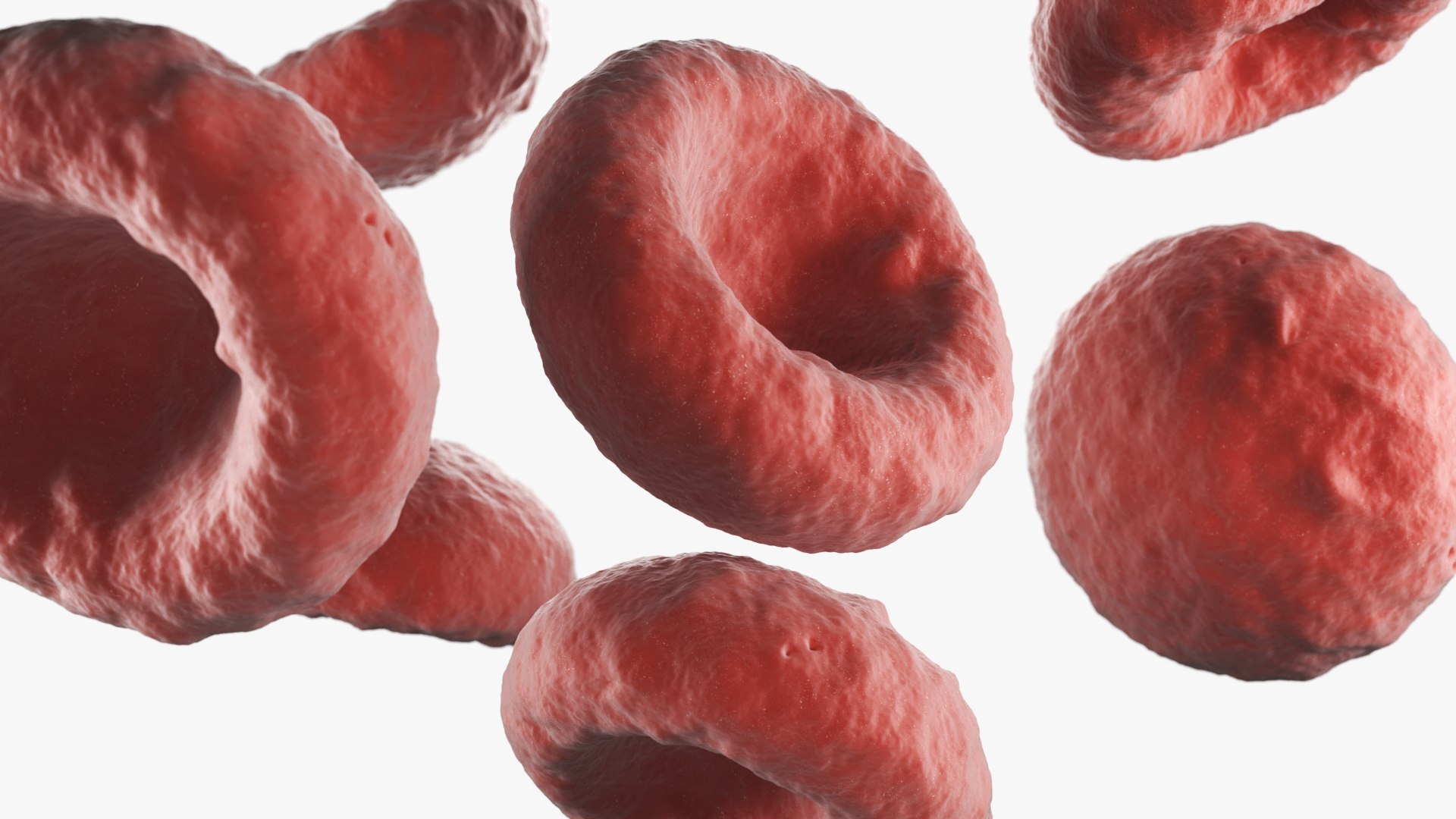 Red Blood Cell 3D Model - TurboSquid 1963237