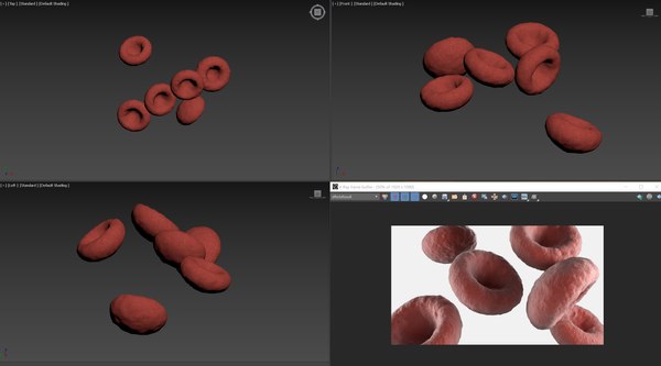 Red Blood Cell 3D model - TurboSquid 1963237