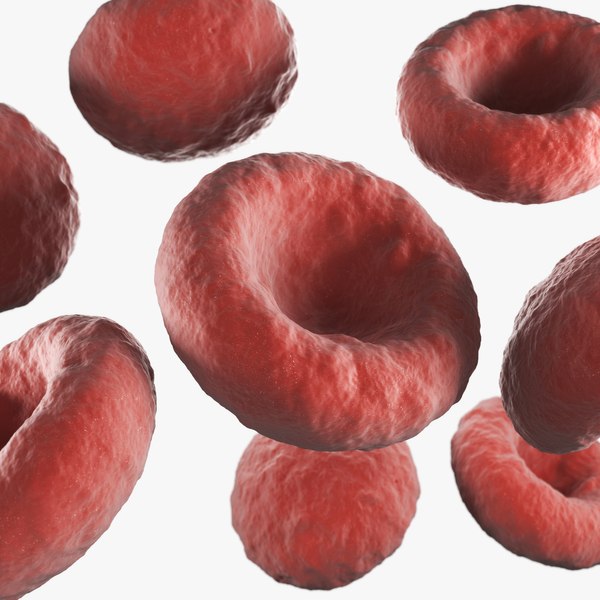 Red Blood Cell 3D model - TurboSquid 1963237