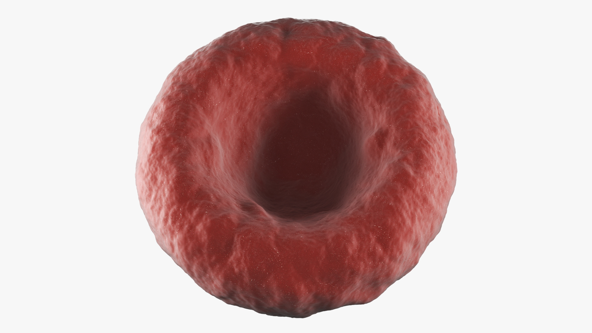 Red Blood Cell 3D Model - TurboSquid 1963237