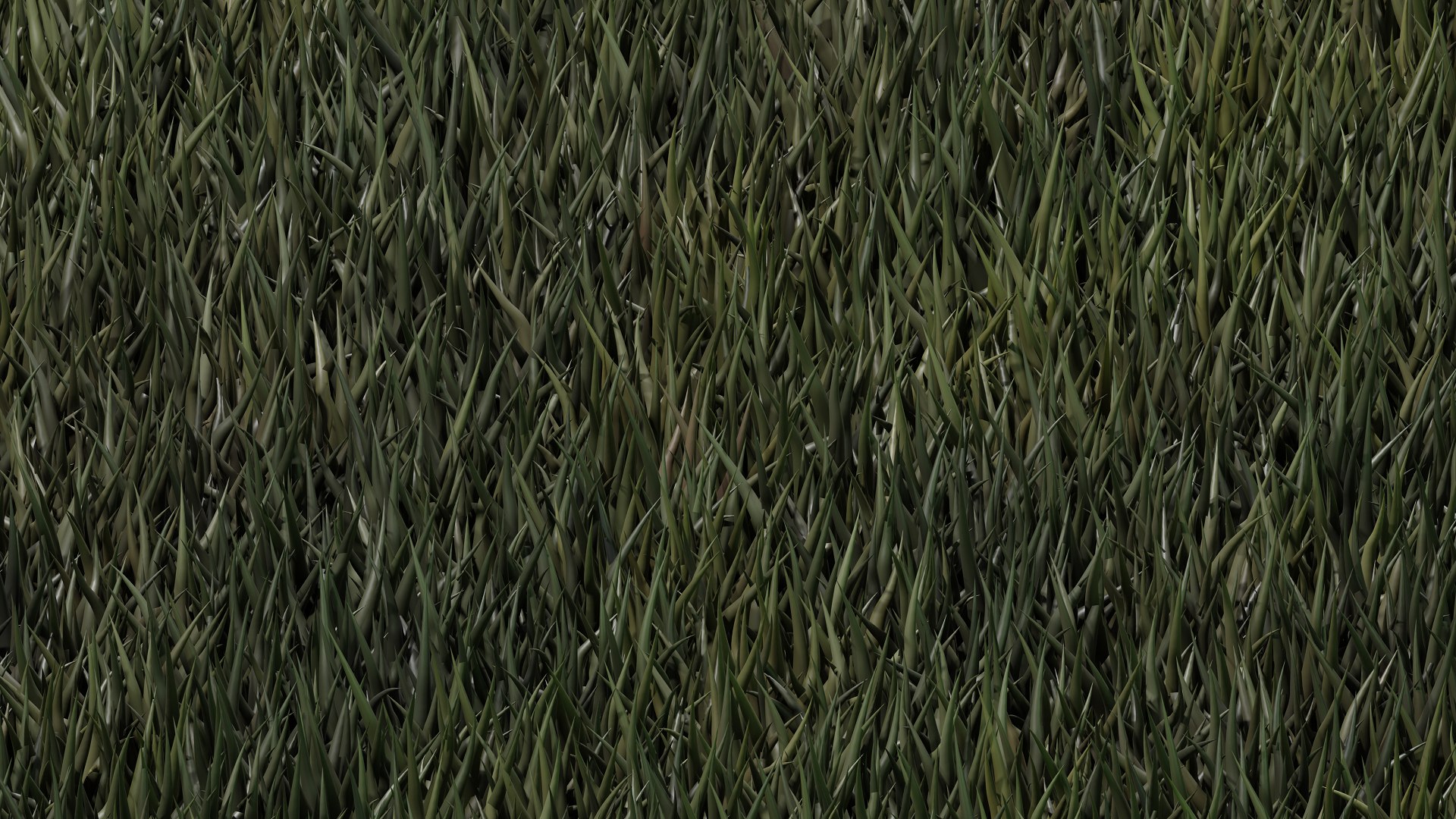 Grass Model - TurboSquid 2054717