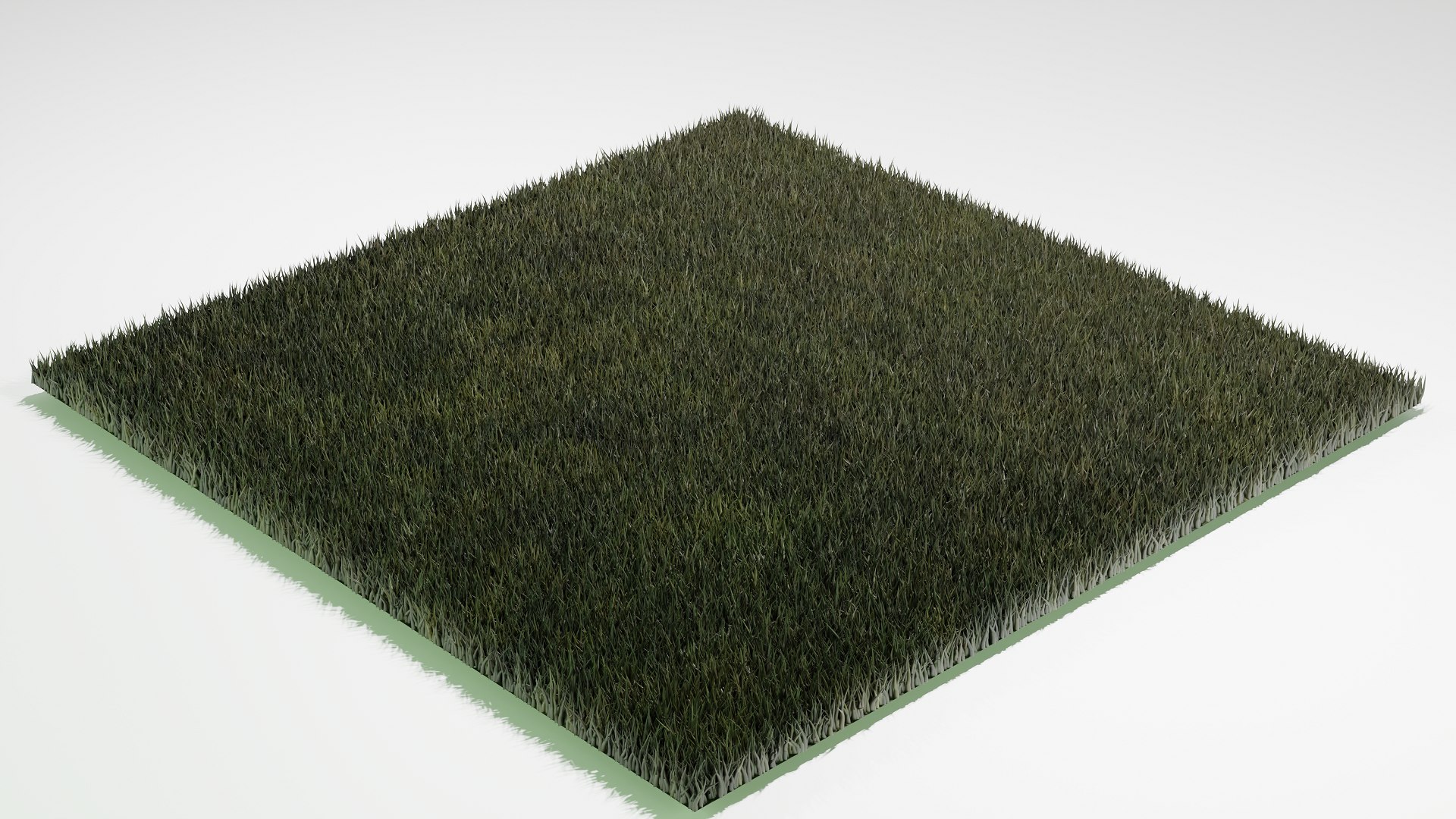 Grass Model - TurboSquid 2054717