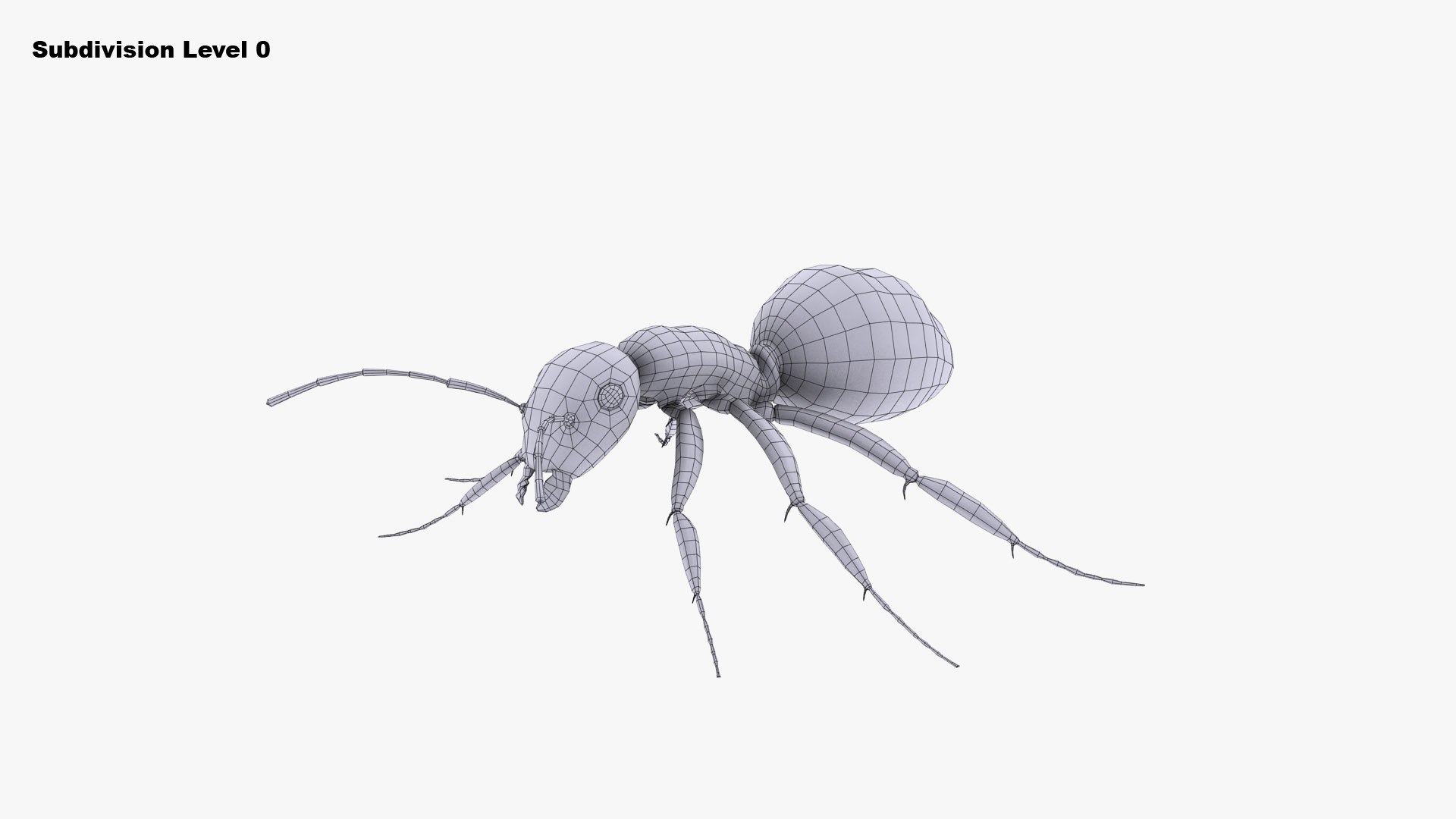 3D model ant animal insect - TurboSquid 1694058