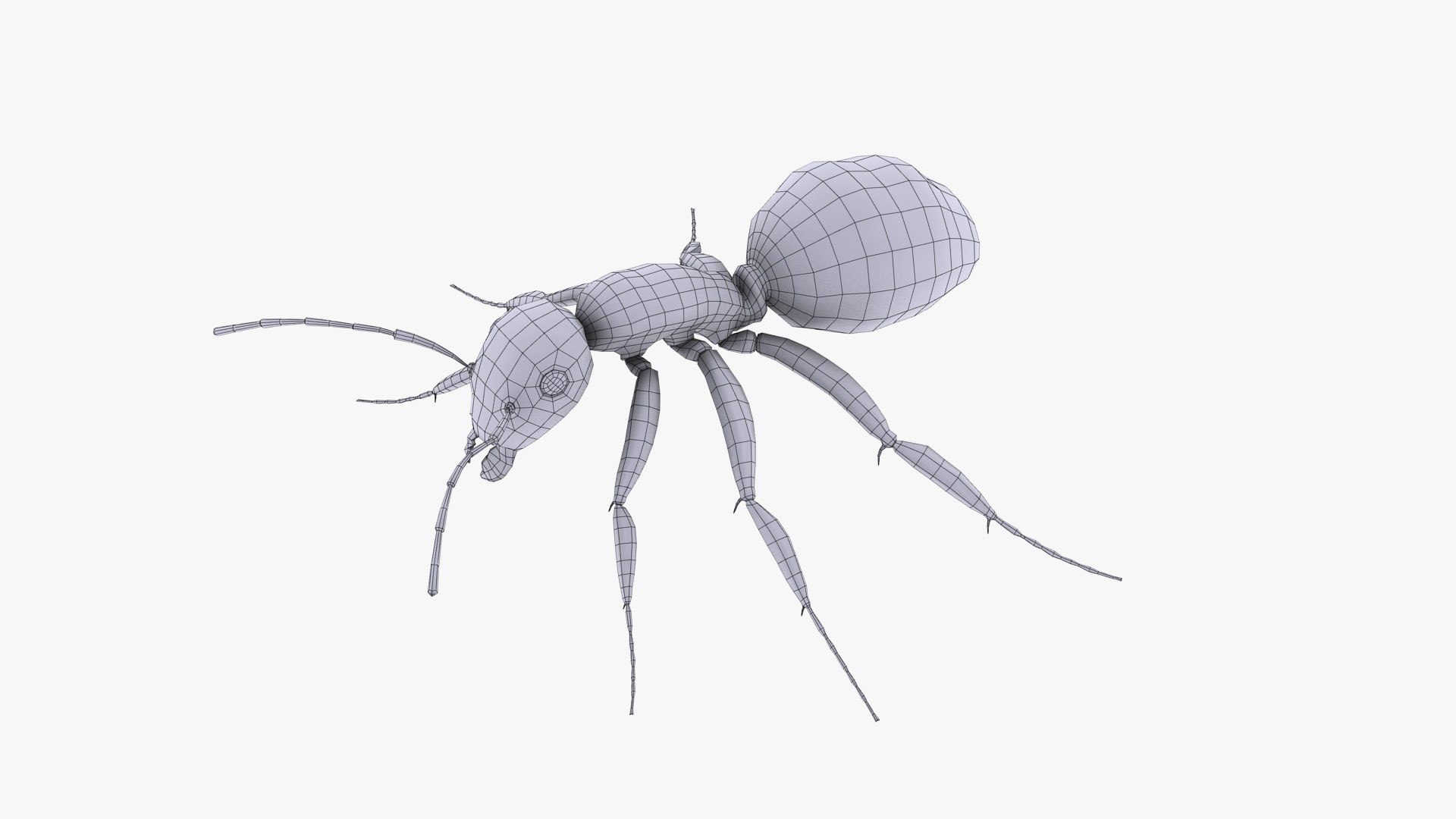 3D model ant animal insect - TurboSquid 1694058