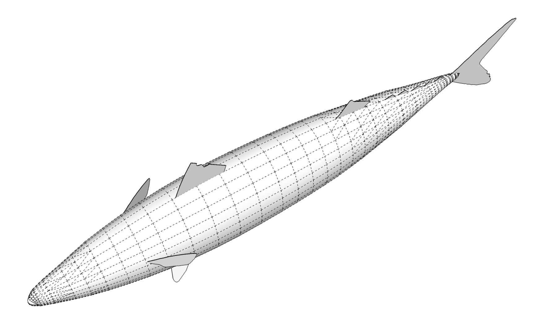 Mackerel Fish 3D Model - TurboSquid 1328893