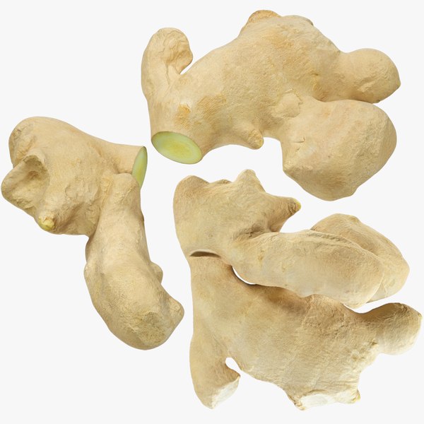 Ginger 3D Models for Download | TurboSquid