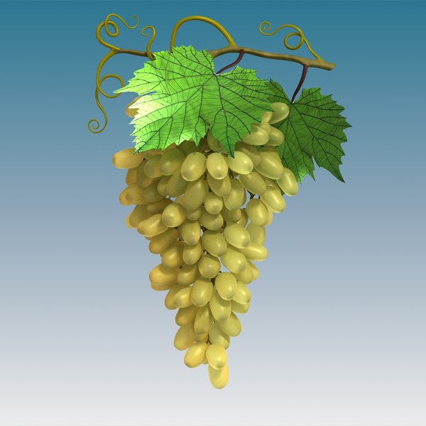 modèle 3D de Grappe de raisin vert - TurboSquid 768993