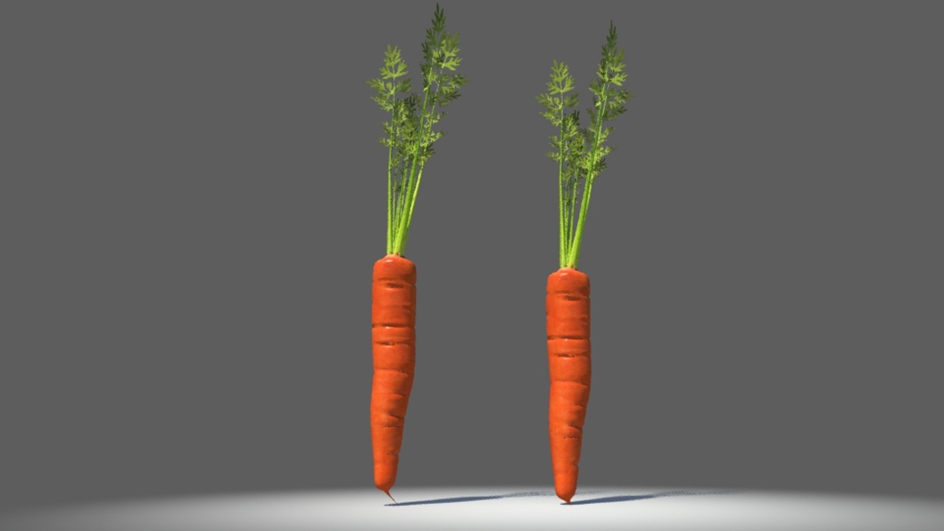 3d Carrot