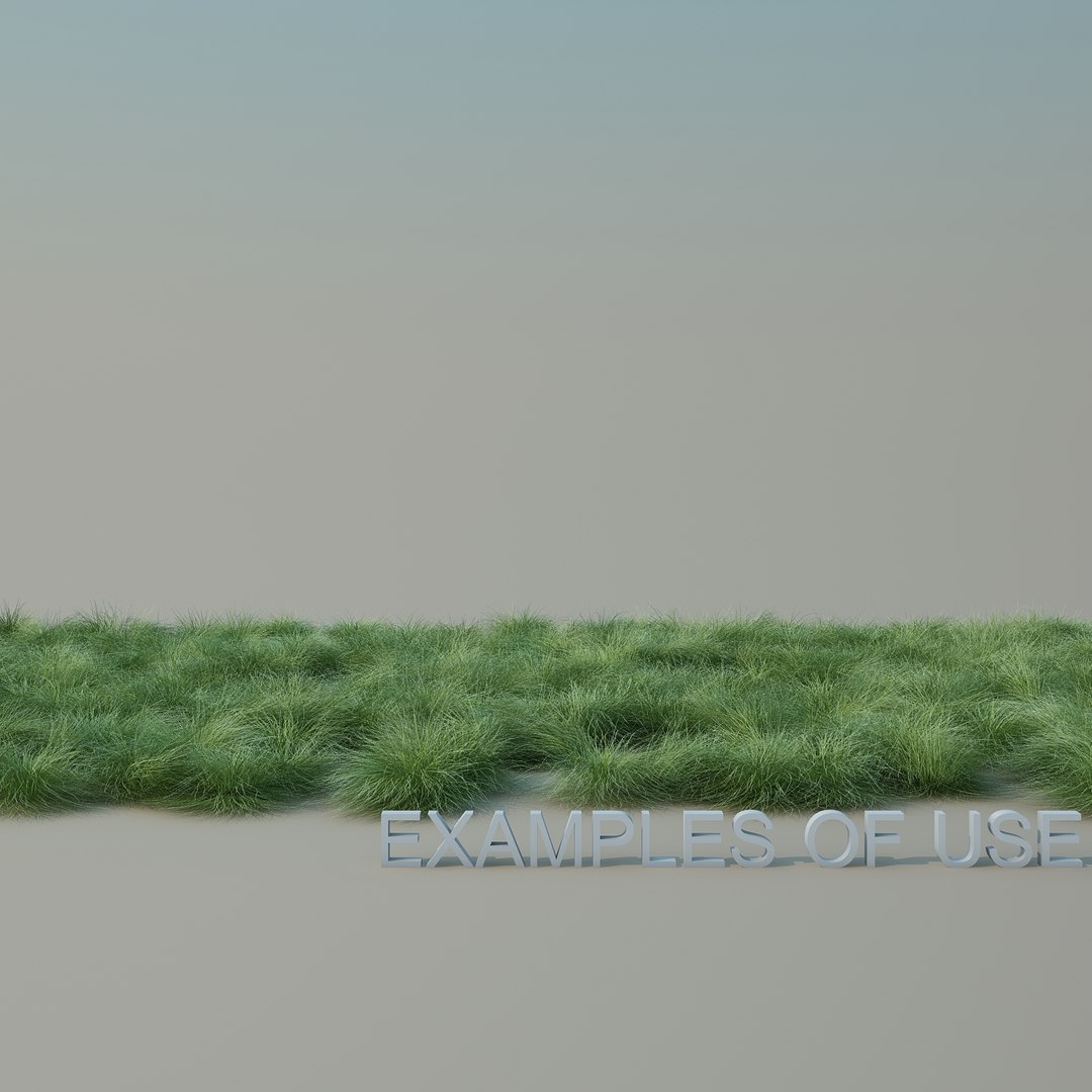 3 Grass Model - TurboSquid 1325100