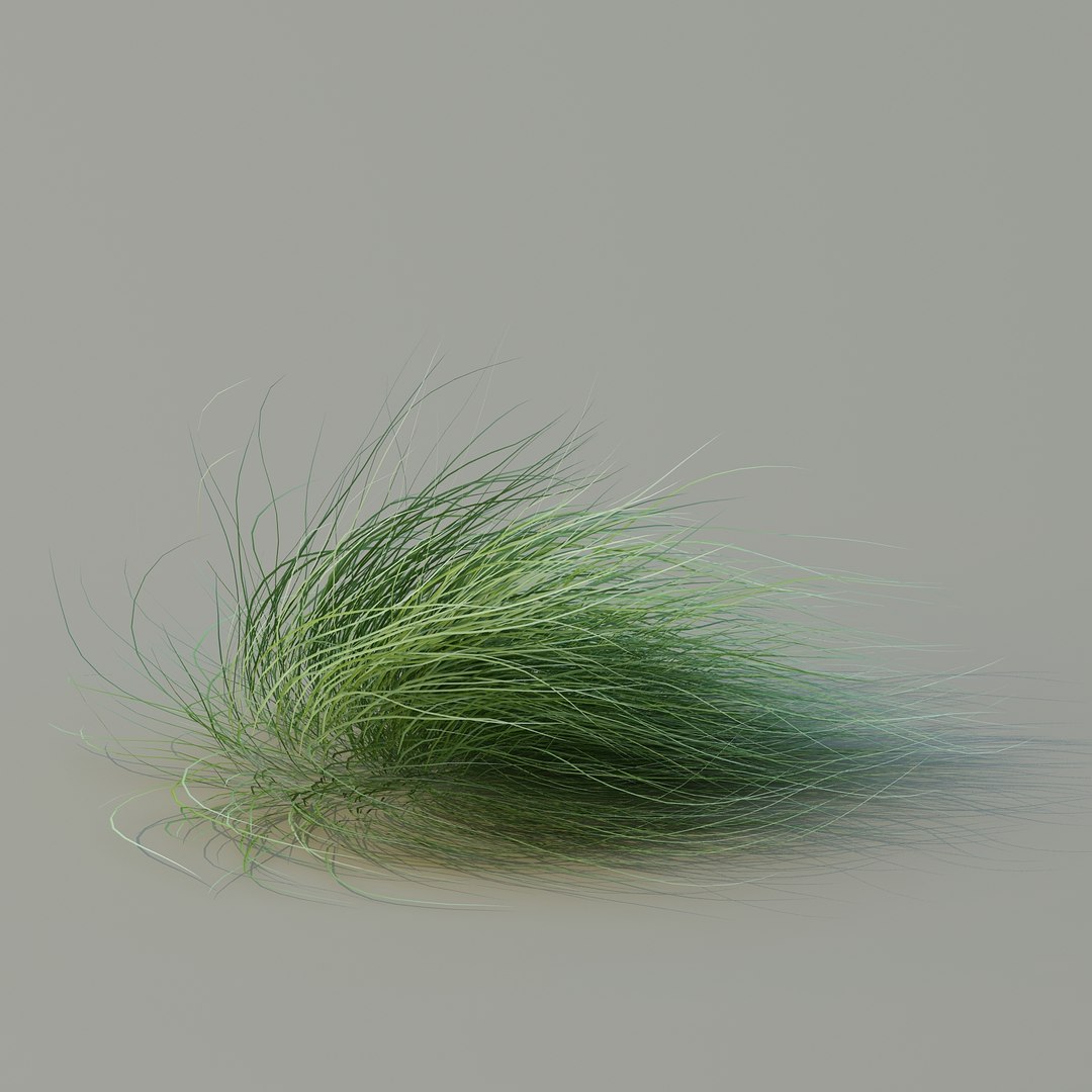 3 Grass Model - TurboSquid 1325100