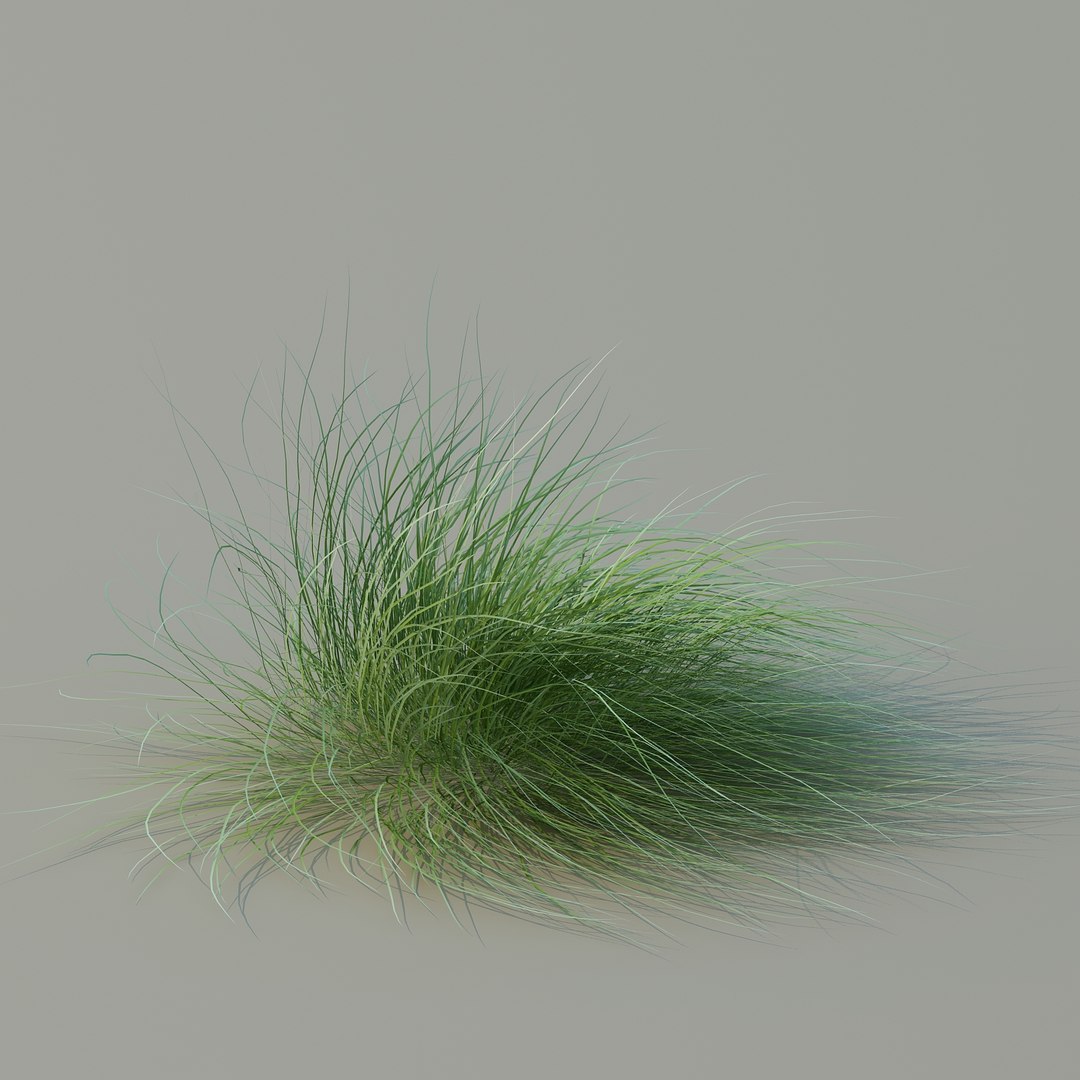 3 Grass Model - TurboSquid 1325100