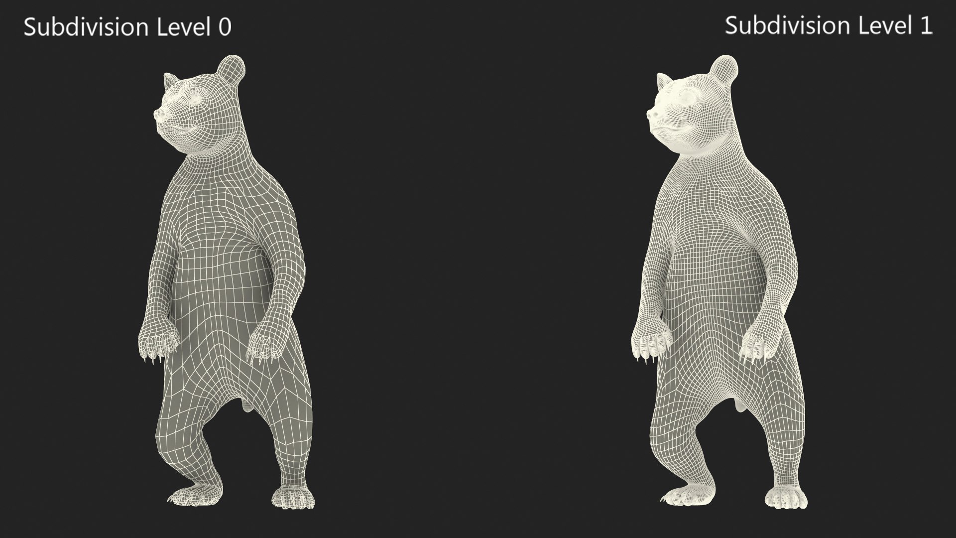 Standing Young Black Bear Fur 3D Model - TurboSquid 2255016