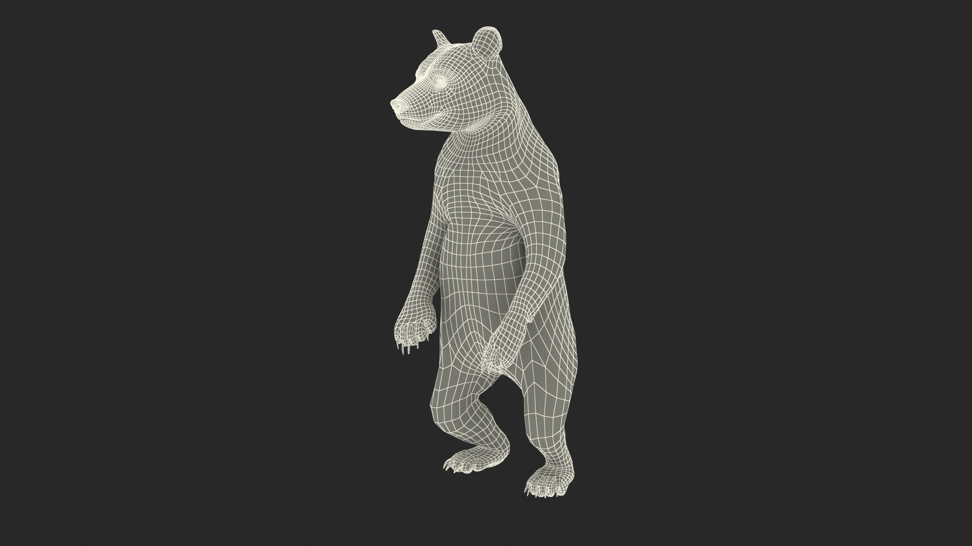 Standing Young Black Bear Fur 3D Model - TurboSquid 2255016