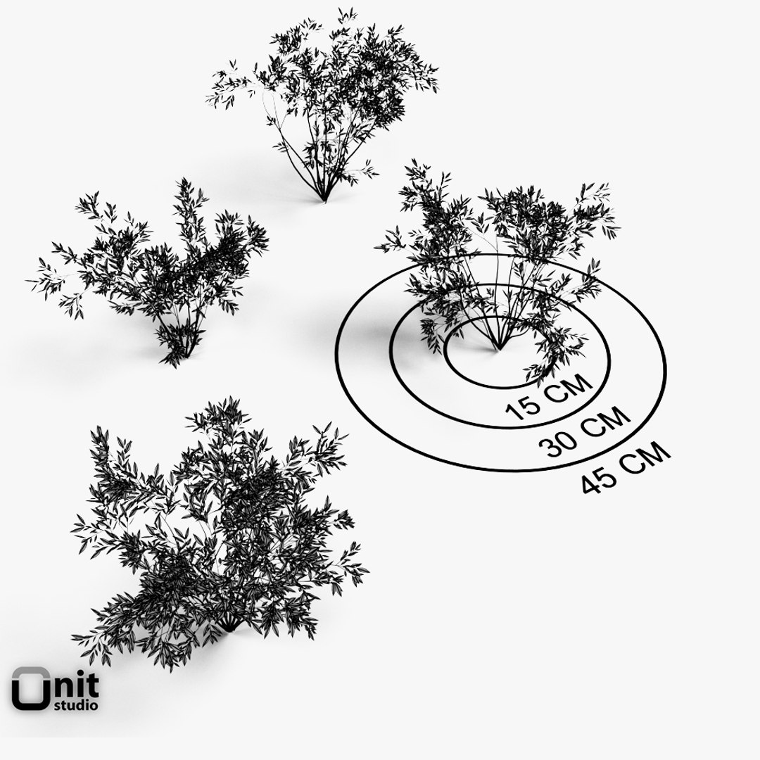 proxy set plant 3d model
