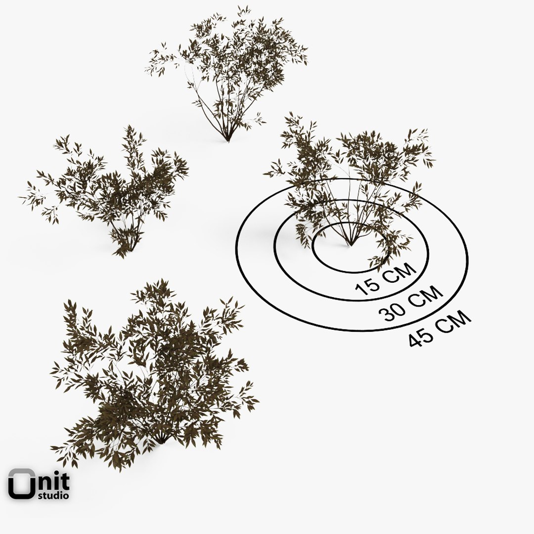 proxy set plant 3d model