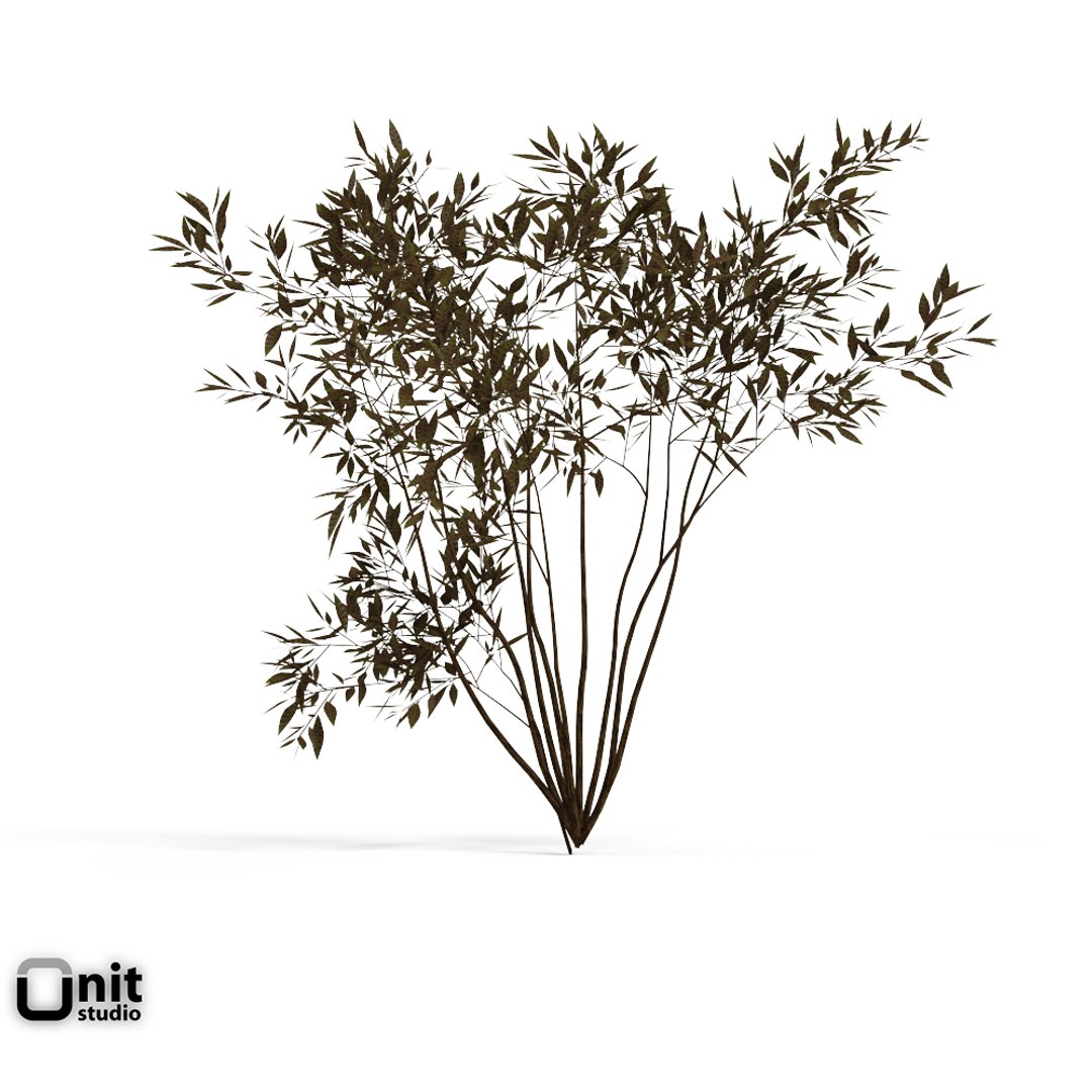proxy set plant 3d model