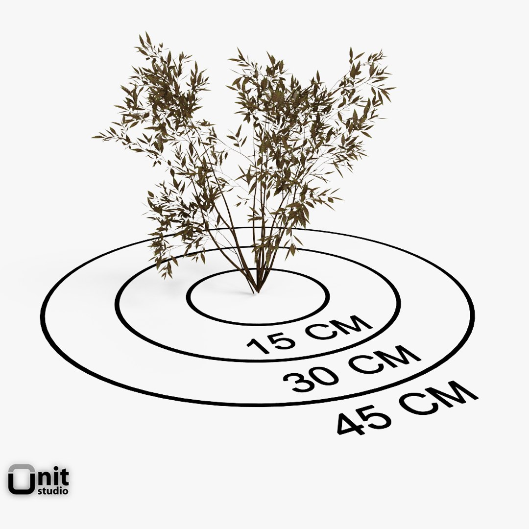 proxy set plant 3d model