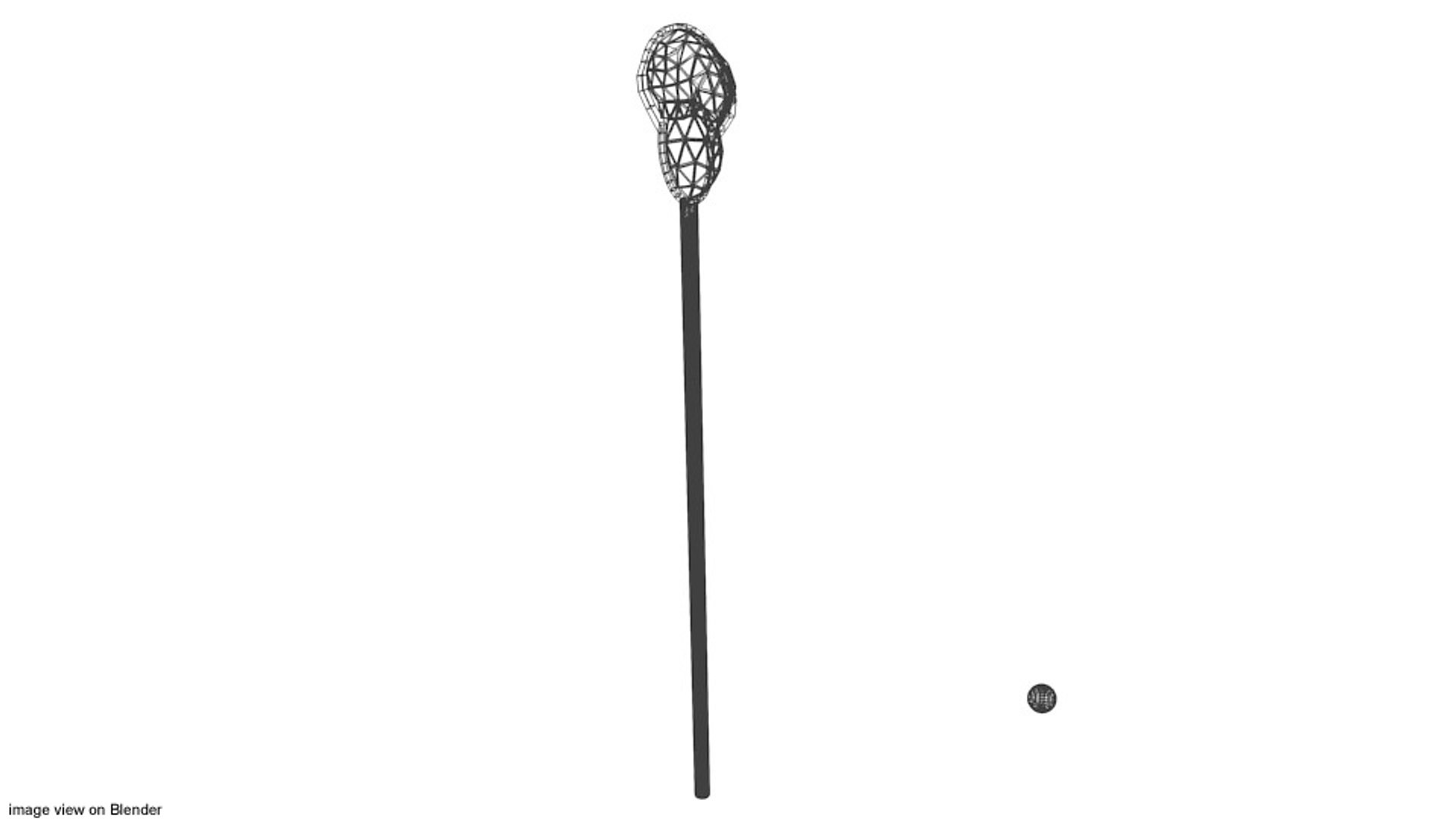 lacrosse sport 3ds