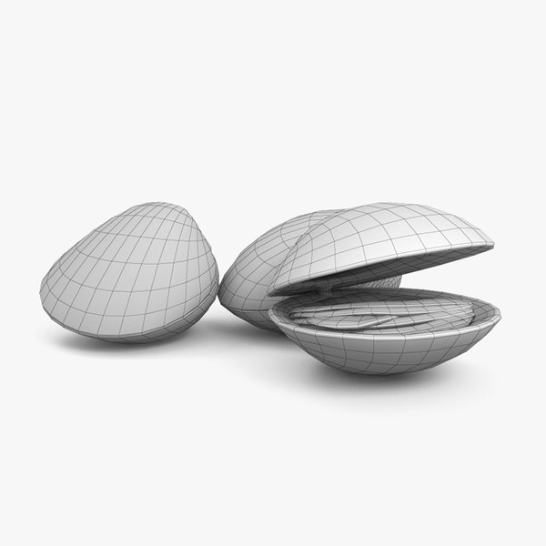 modelo 3d Clam - TurboSquid 1920178