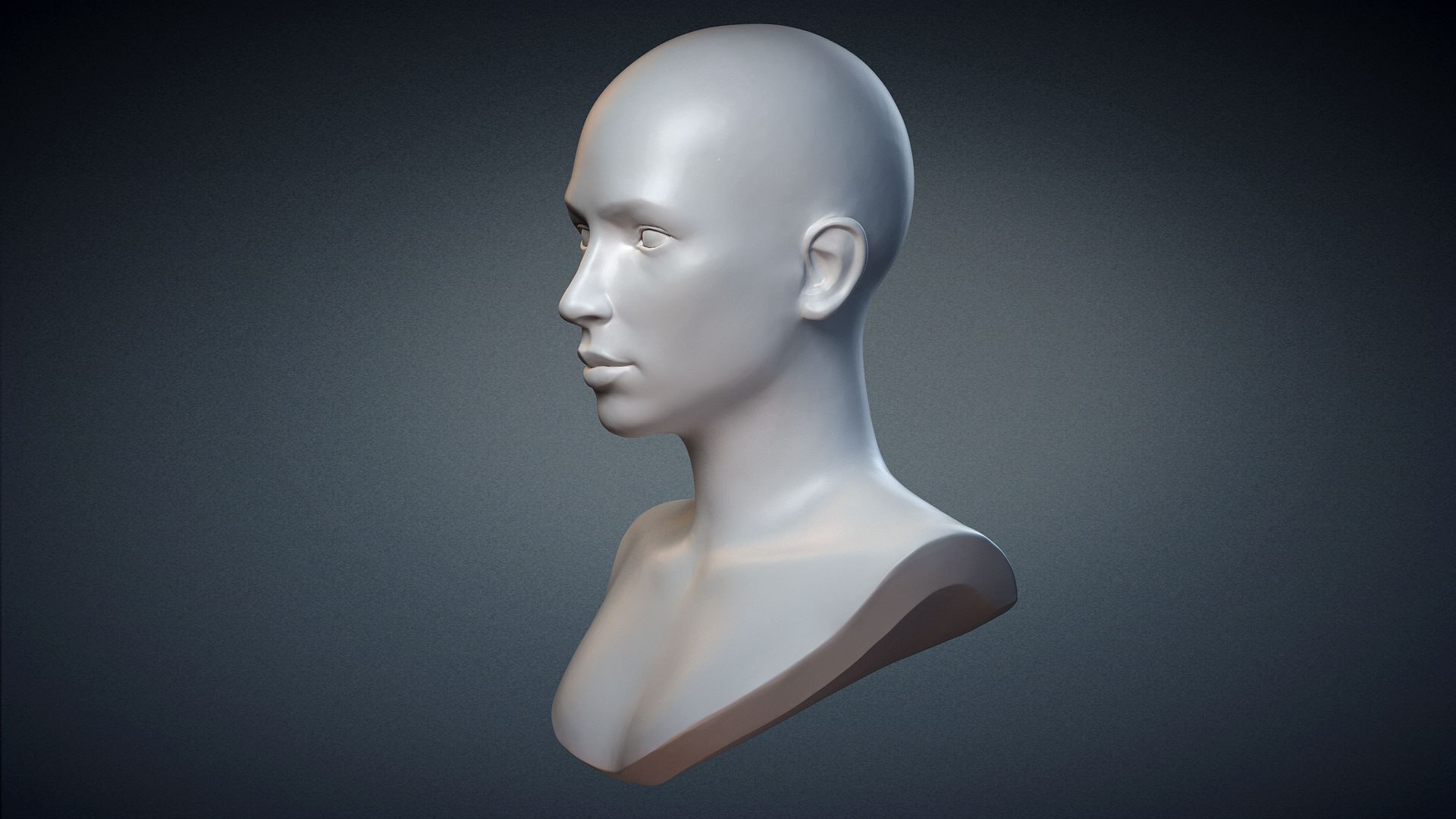 3D Beauty Bust Sculpture Base Mesh Model - TurboSquid 1599158