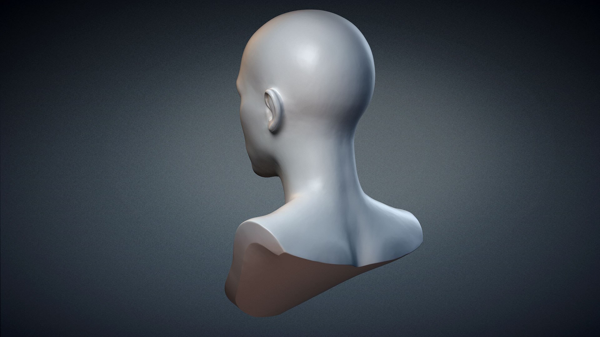 3D Beauty Bust Sculpture Base Mesh Model - TurboSquid 1599158