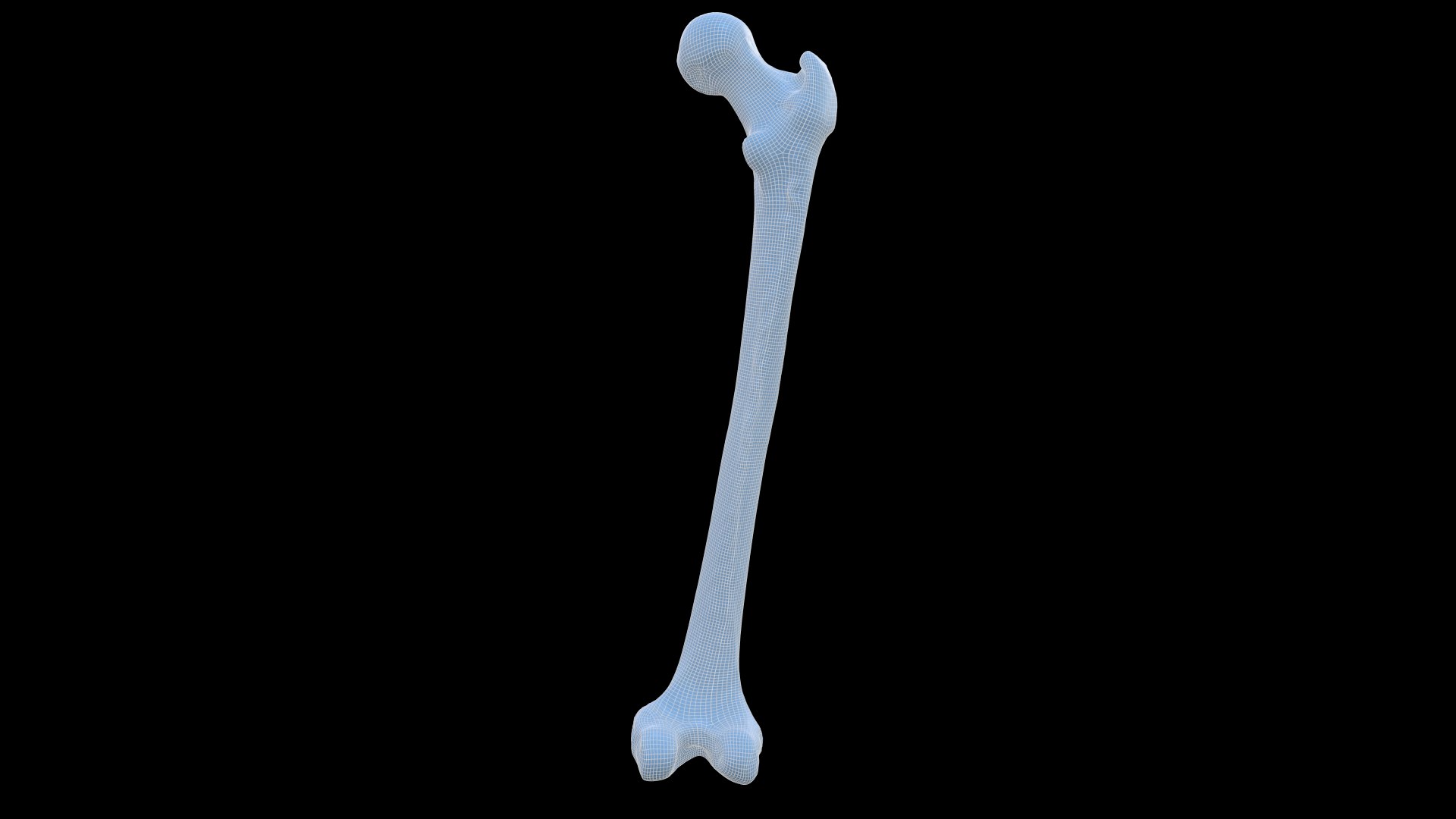3D Real Humerus Bone Model - TurboSquid 2036505