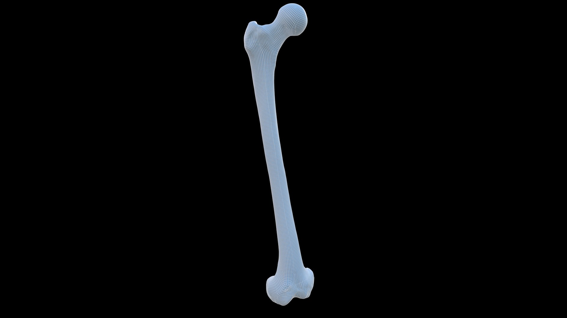 3D Real Humerus Bone Model - TurboSquid 2036505