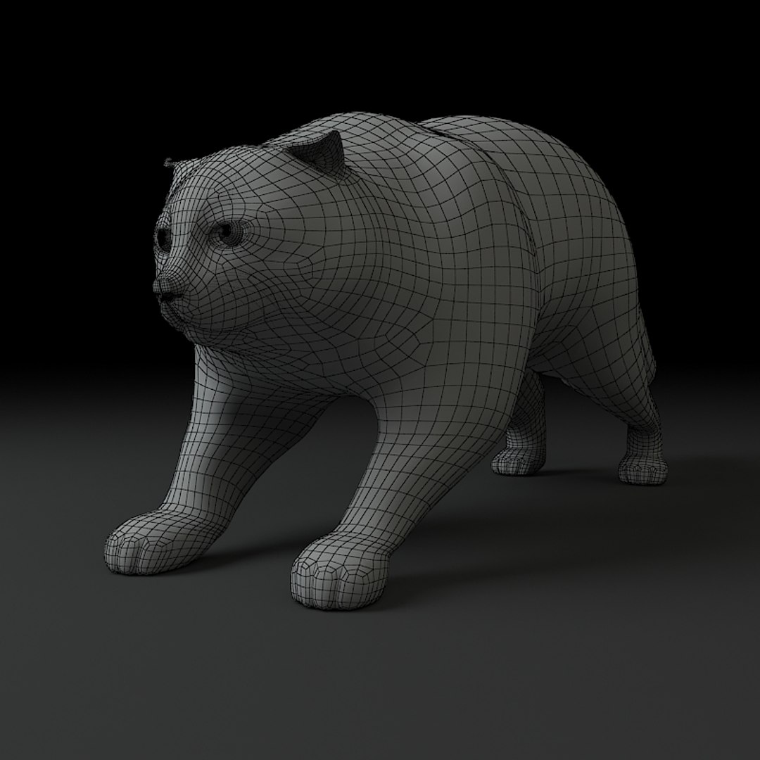 3d Model Manul Pallas Cat