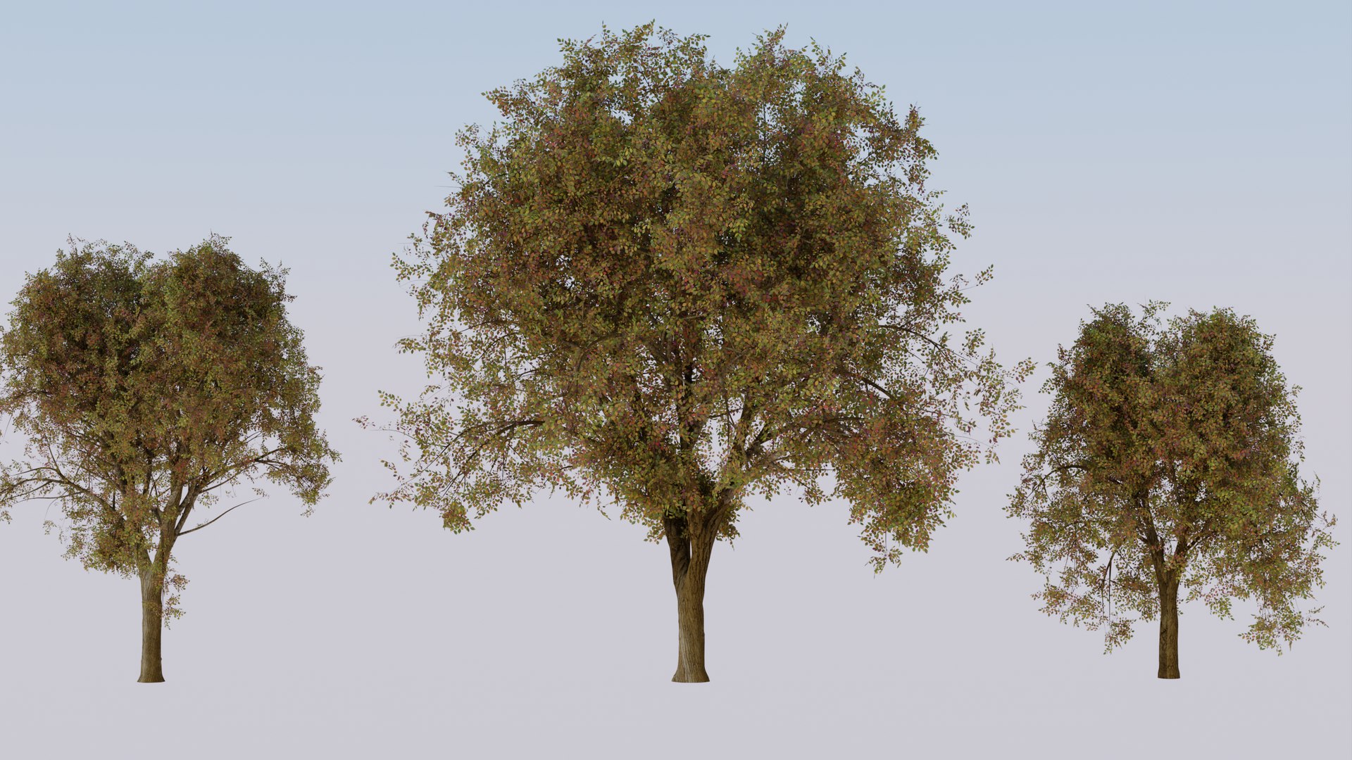 3D Trees 3 Pices High Quality 3D - TurboSquid 1981981