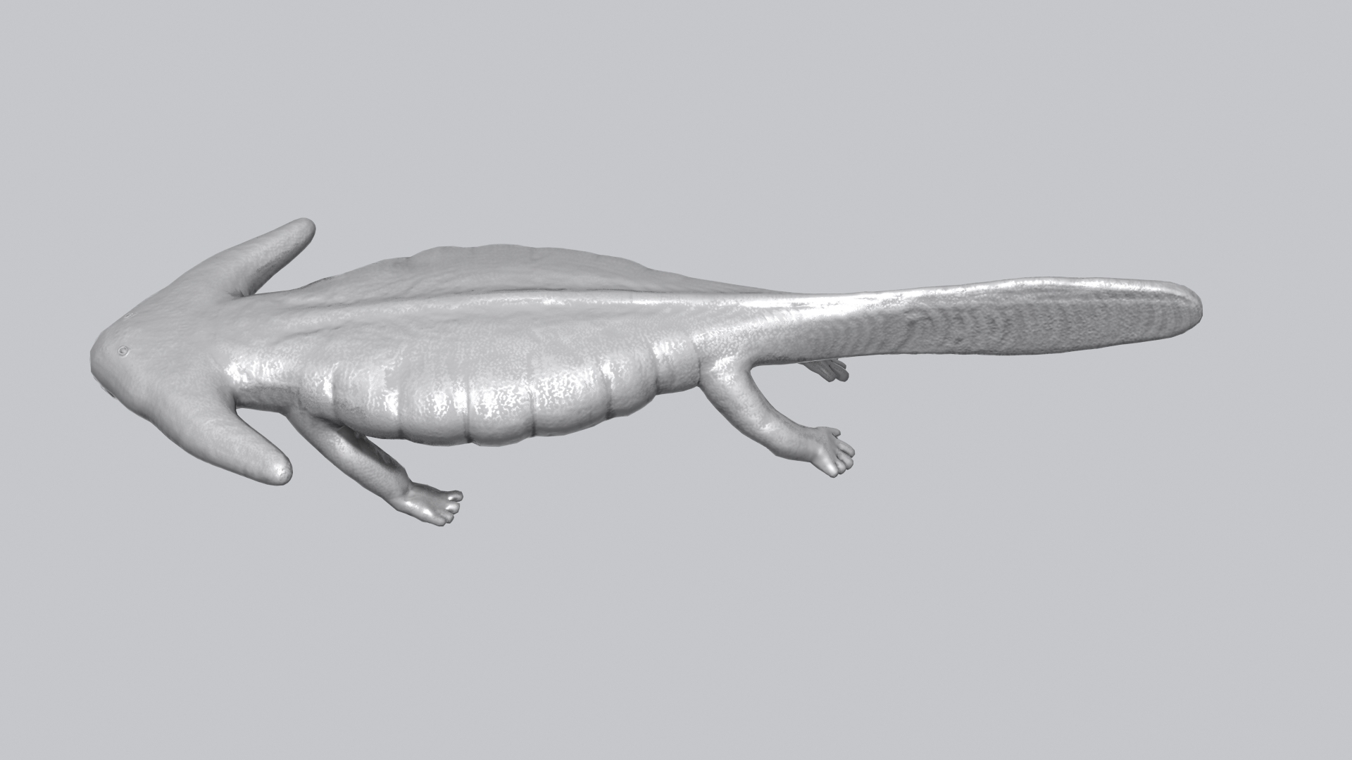 3D Model Diplocaulus - TurboSquid 1875846