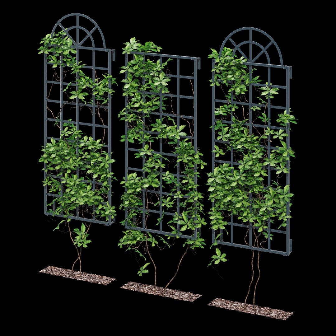 3D Wall Trellis One Model - TurboSquid 1915299