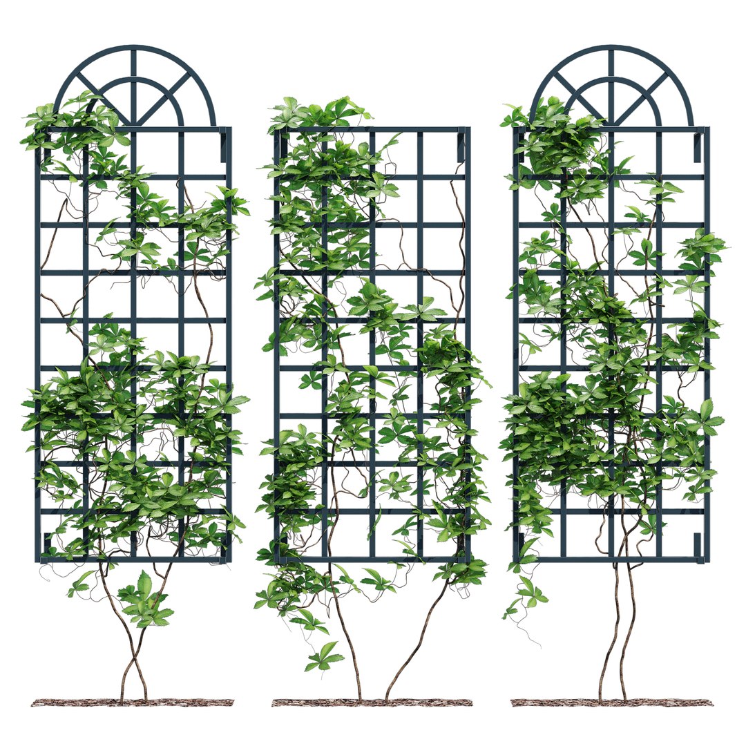3D Wall Trellis One Model - TurboSquid 1915299