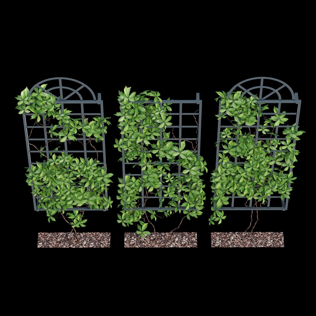 3D Wall Trellis One Model - TurboSquid 1915299