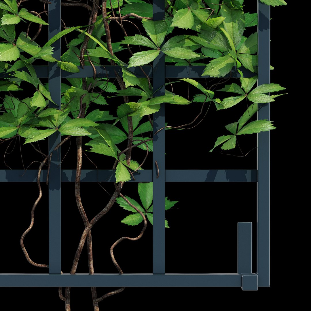 3D Wall Trellis One Model - TurboSquid 1915299