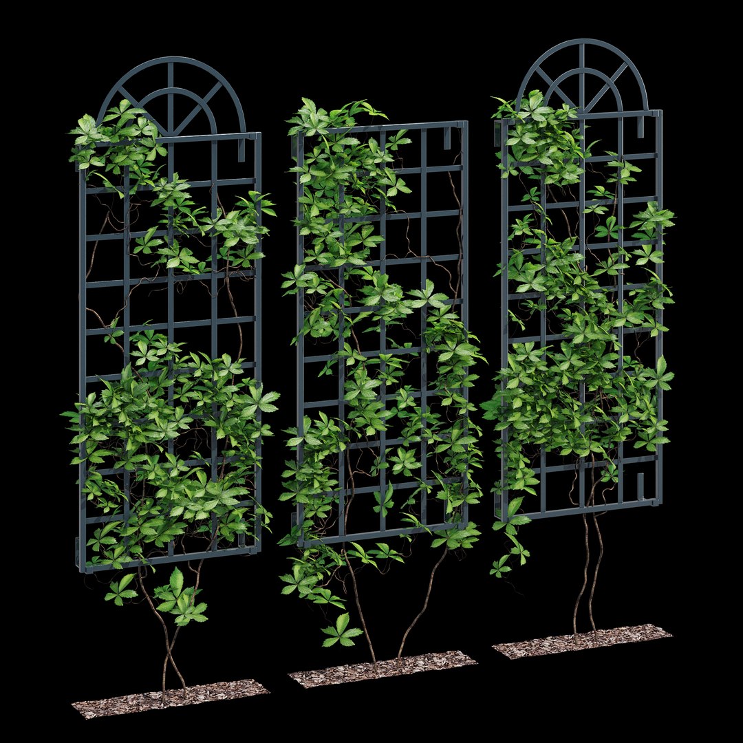 3D Wall Trellis One Model - TurboSquid 1915299