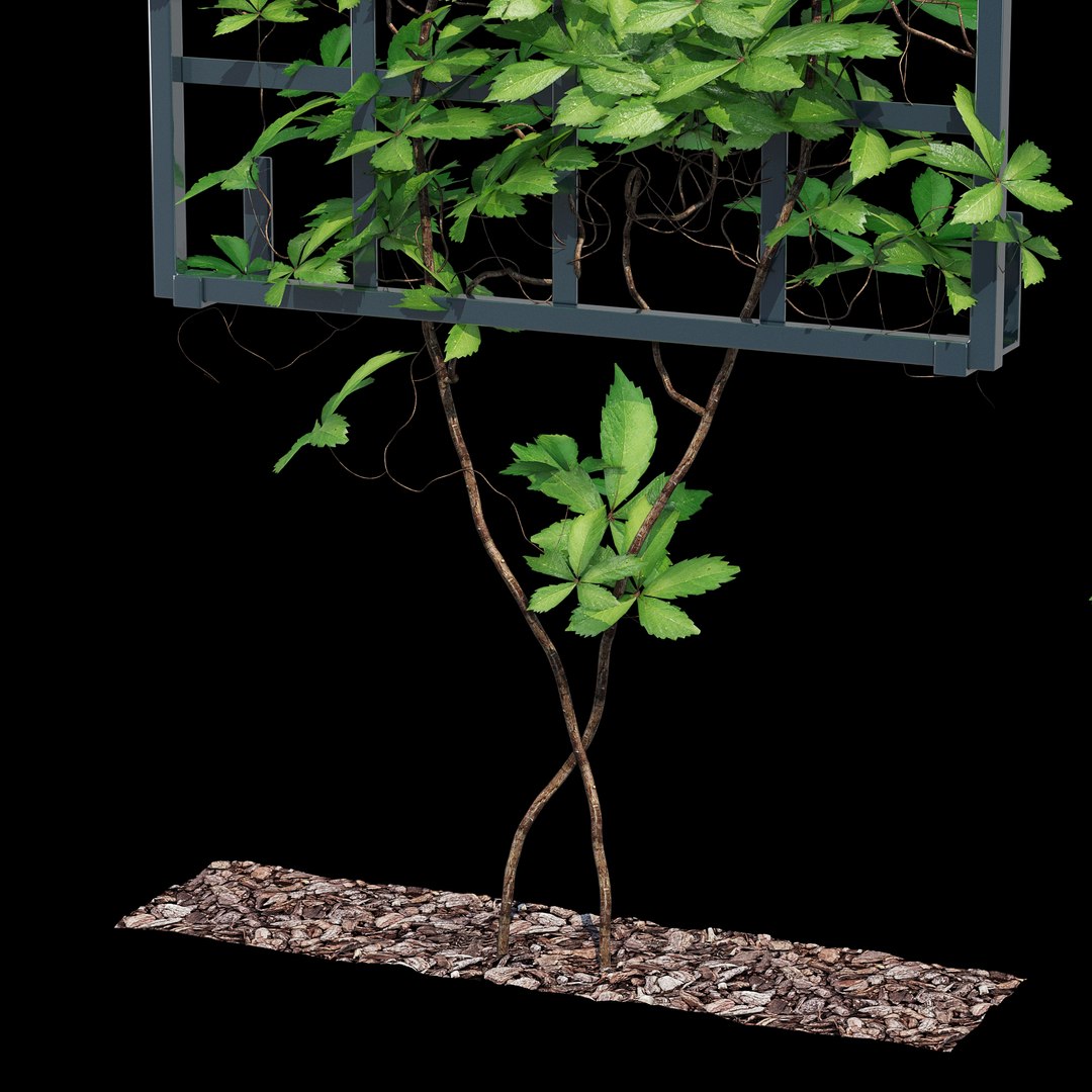 3D Wall Trellis One Model - TurboSquid 1915299