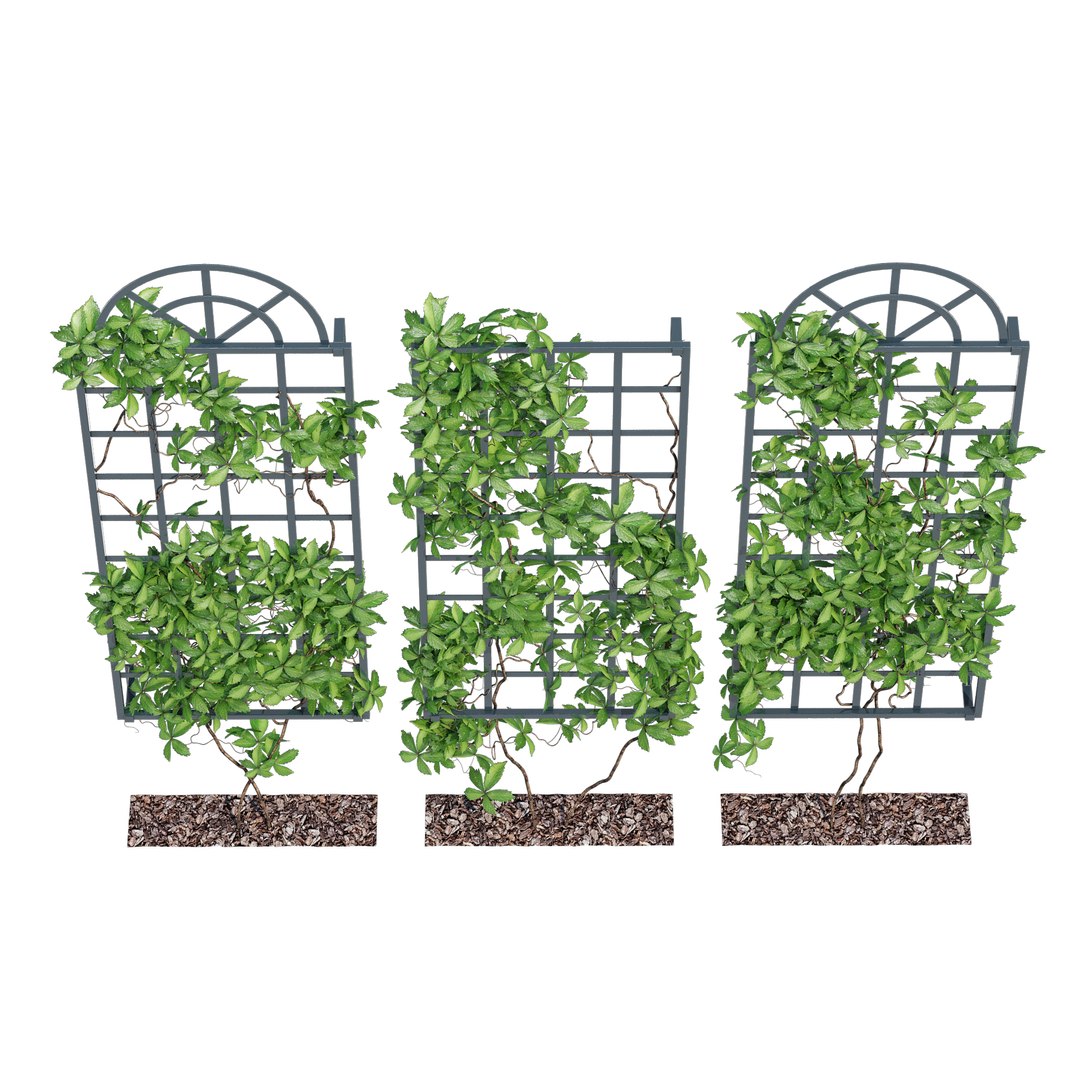 3D Wall Trellis One Model - TurboSquid 1915299