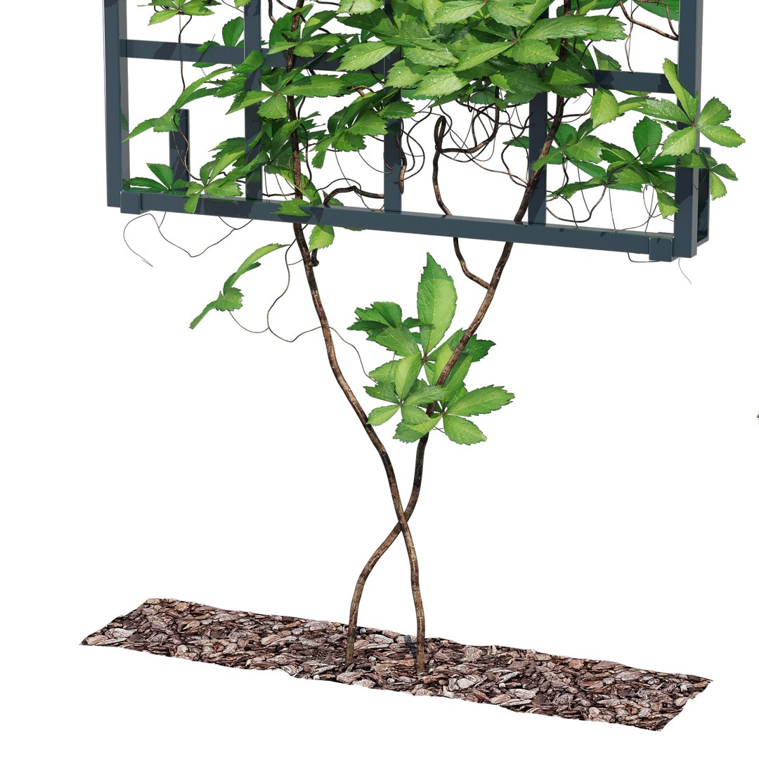 3D Wall Trellis One Model - TurboSquid 1915299